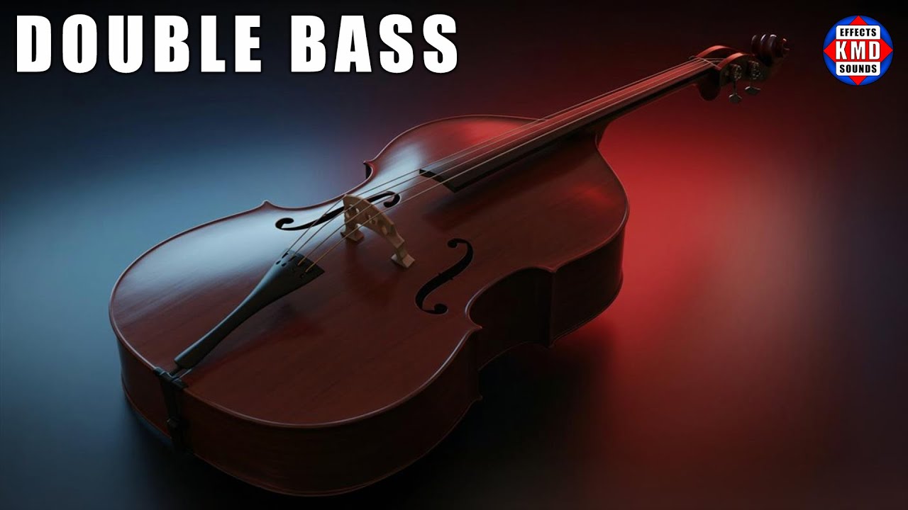 рџћ Double Bass Sound Musical Instrument Sounds The Best Sound