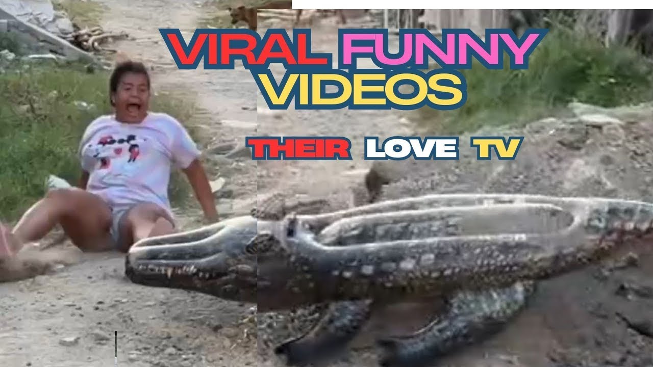 Viral Funny Videos Youtube
