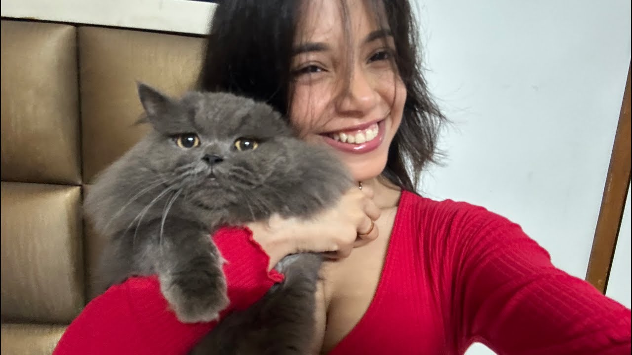 Happy Friendship Day рџћђ Shorts Shortsfeed Shortslive Youtube