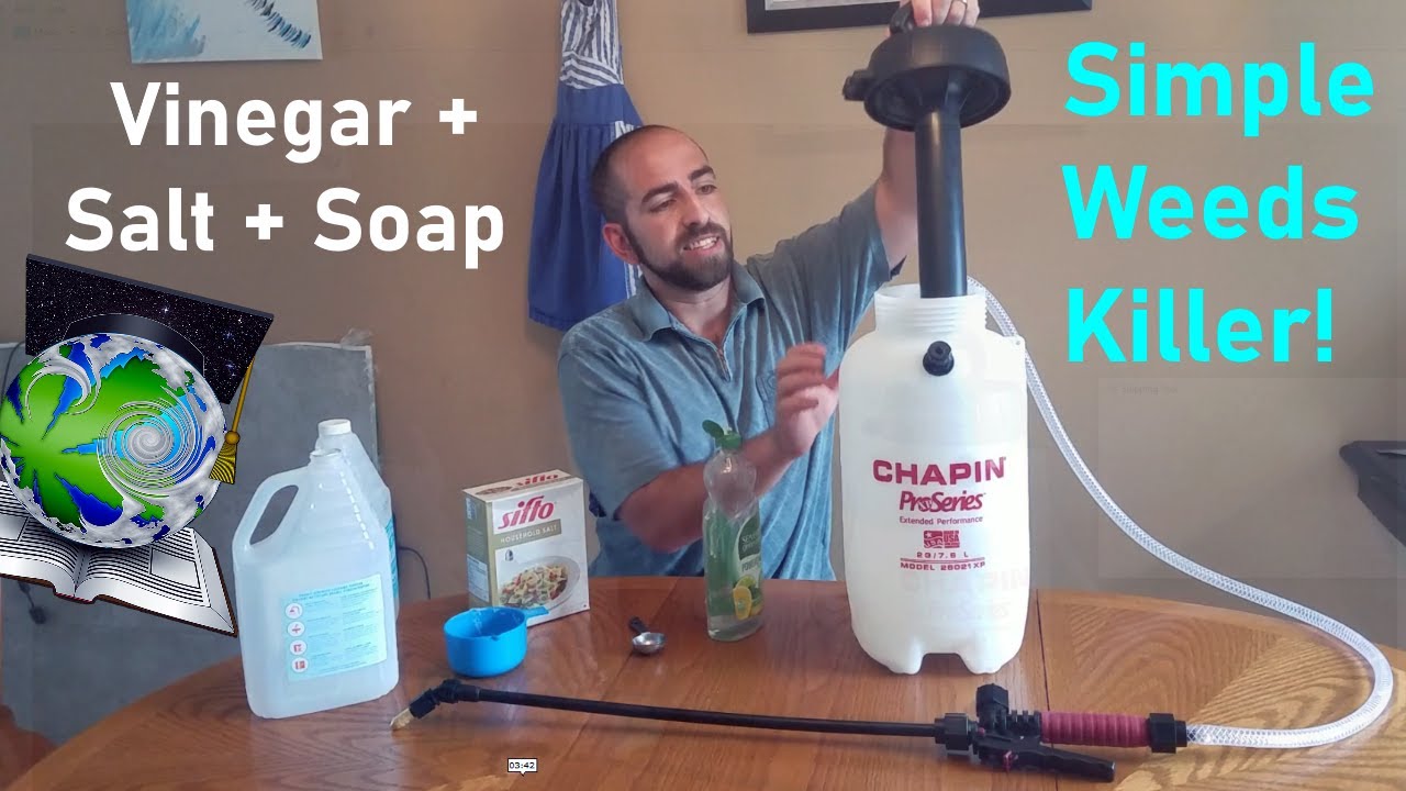 Weed Killer Homemade Vinegar Epsom Salt At John Mclain Blog