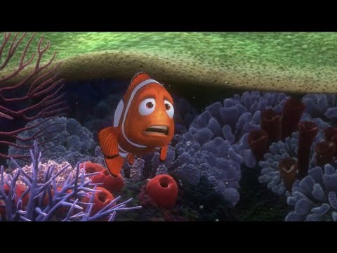 Finding Nemo Nemo Gets Captured Telugu Animated Youtube