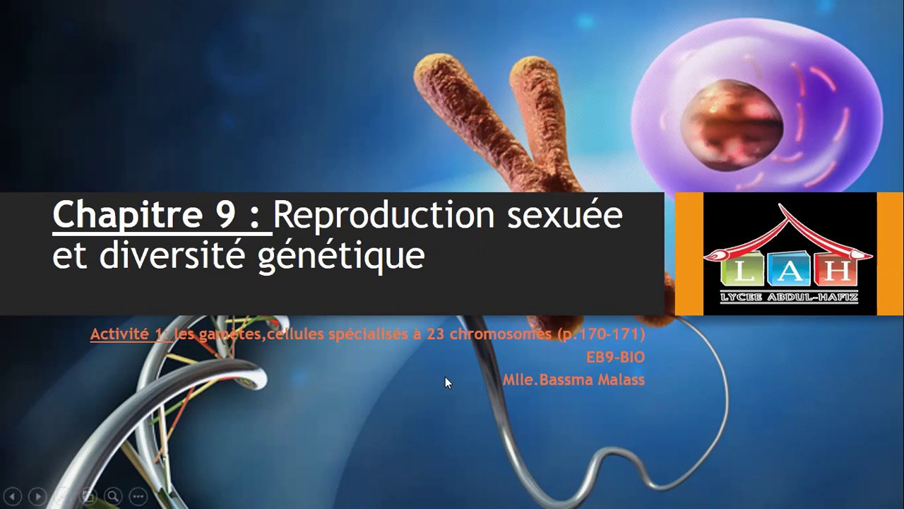 Eb9 Bio La Meiose Part 1 Youtube
