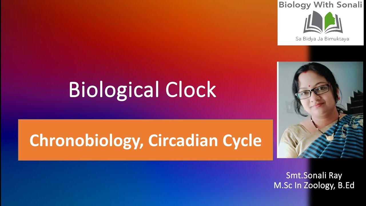 Biological Clock Chronobiology Ssb Odisha Lecturer Ssbodisha