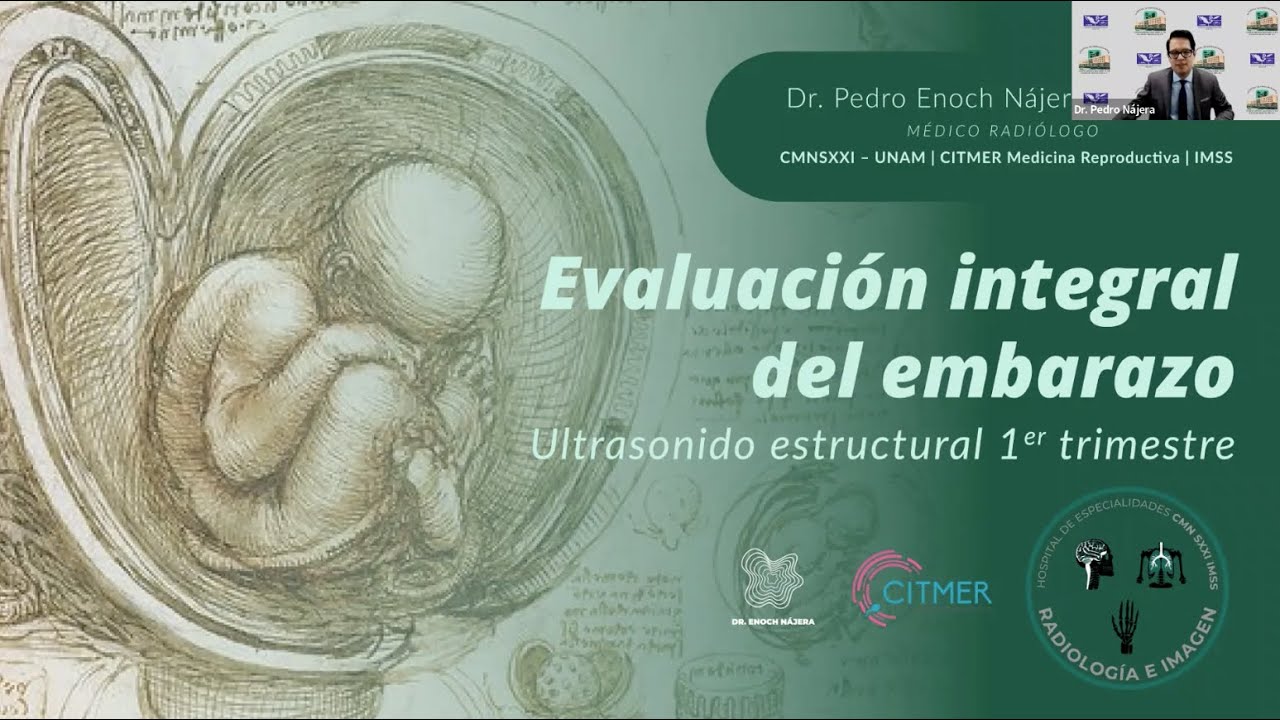 1 2 Ultrasonido Estructural Primer Trimestre Del Embarazo Dr