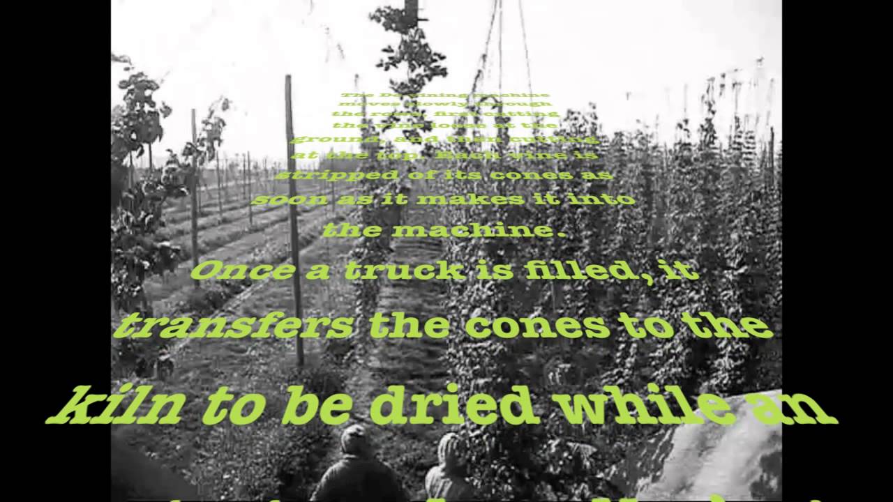 Devining 2013 Youtube