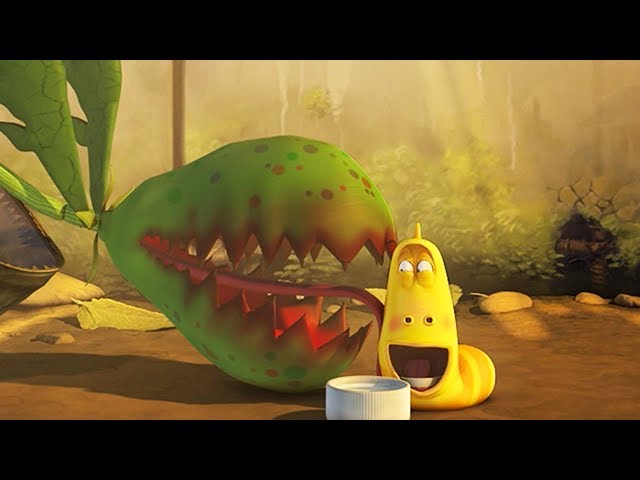 Larva Plant Best Friend Cartoon Movie Cartoons For Children