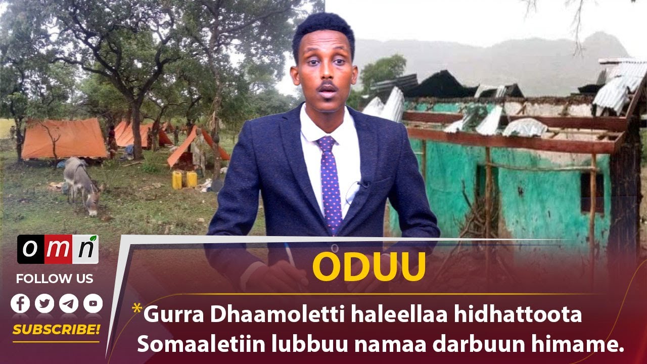 Omn Oduu Onk 4 2022 Youtube