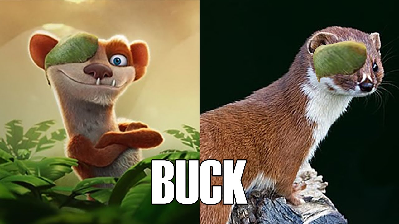 Ice Age Characters In Real Life Part 1 Ice Age