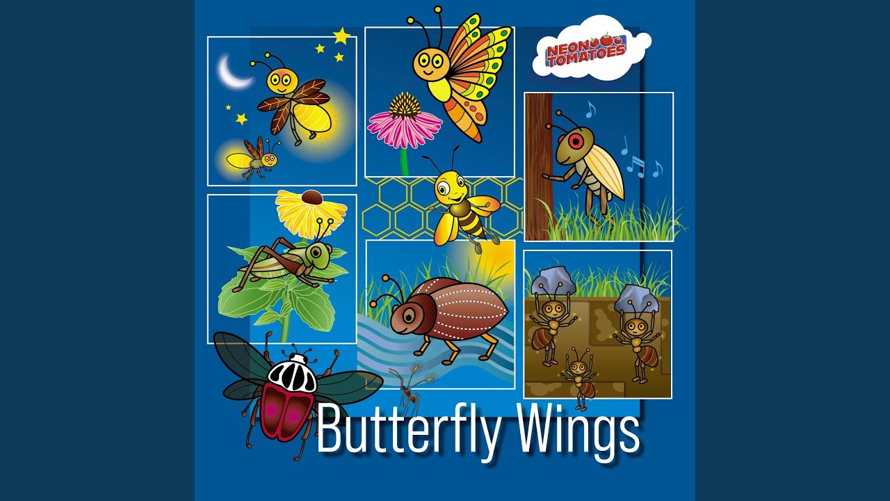 Teach Ants To Dance Youtube