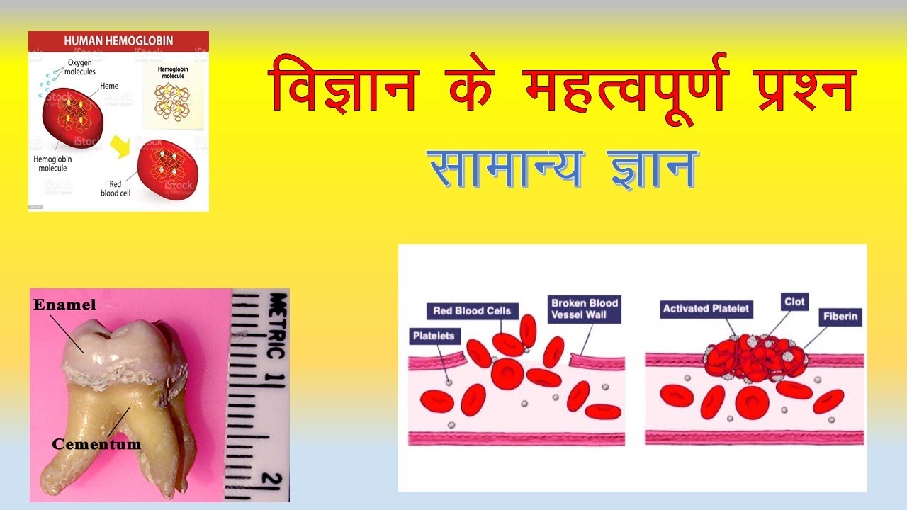 General Science By Knowledgepoint 10 Important Questions Part 4