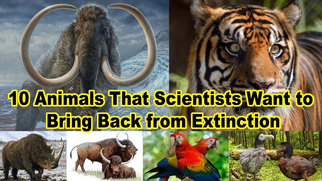 10 Animals That Scientists Want To Bring Back From Extinction