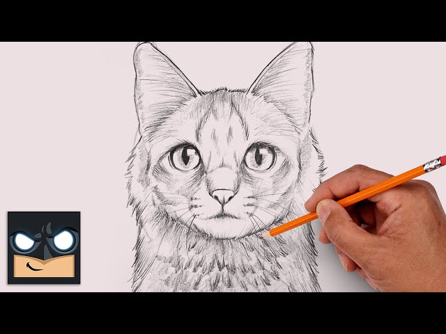 How To Draw A Cat Sketch Saturday Tutorial Videos For Kids