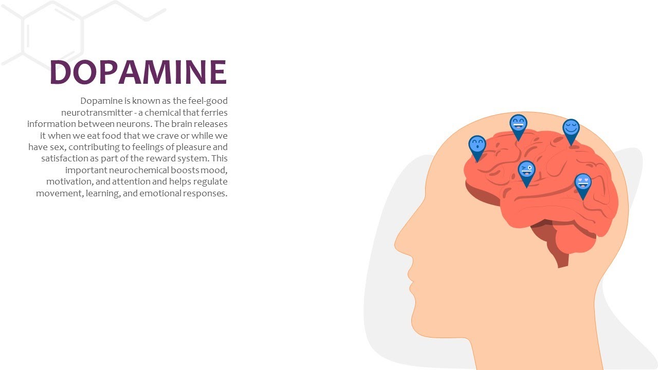 Dopamine Animated Presentation Slides Youtube
