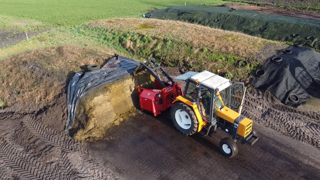 Feeding Cattle Youtube