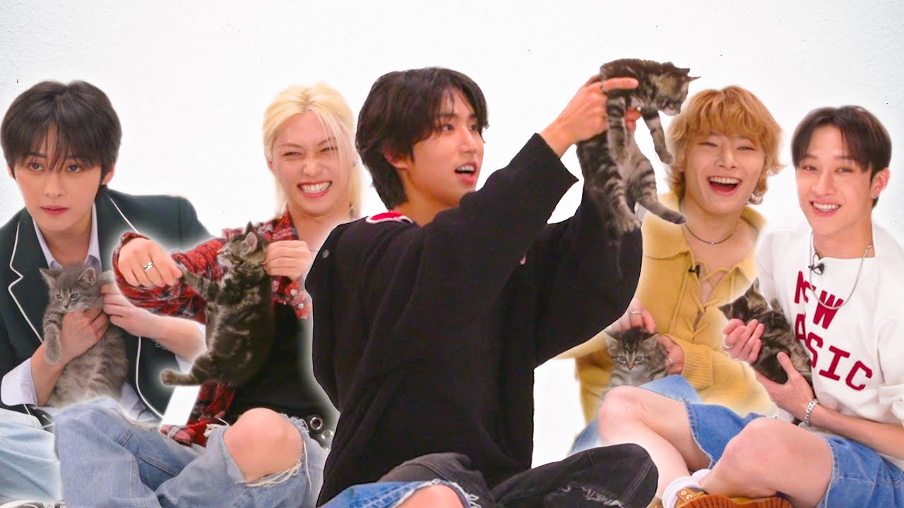 Stray Kids The Kitten Interview Youtube