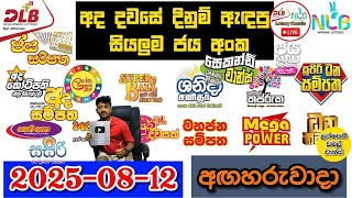 Dlb Nlb Today All Lottery Results 2025 08 12 අද ස යල ම ල තර ය ප රත ඵල ...