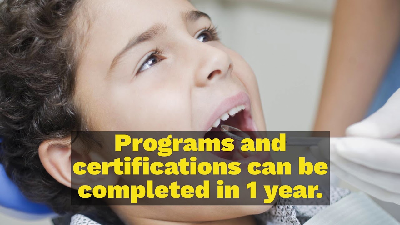 Dental Assistant Program Hcc At Bob Wright Blog