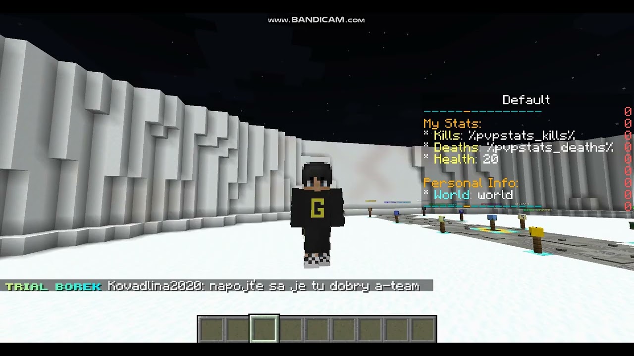 Minecraft Server Youtube