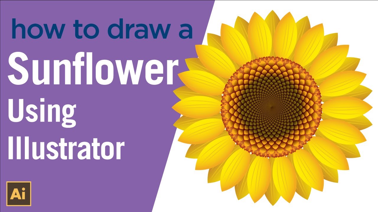 How To Draw A Sunflower In Vector Using Illustrator Youtube