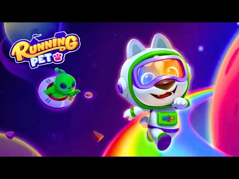 Running Pets Pet Runner Cat Runner Cats Running Game Endless