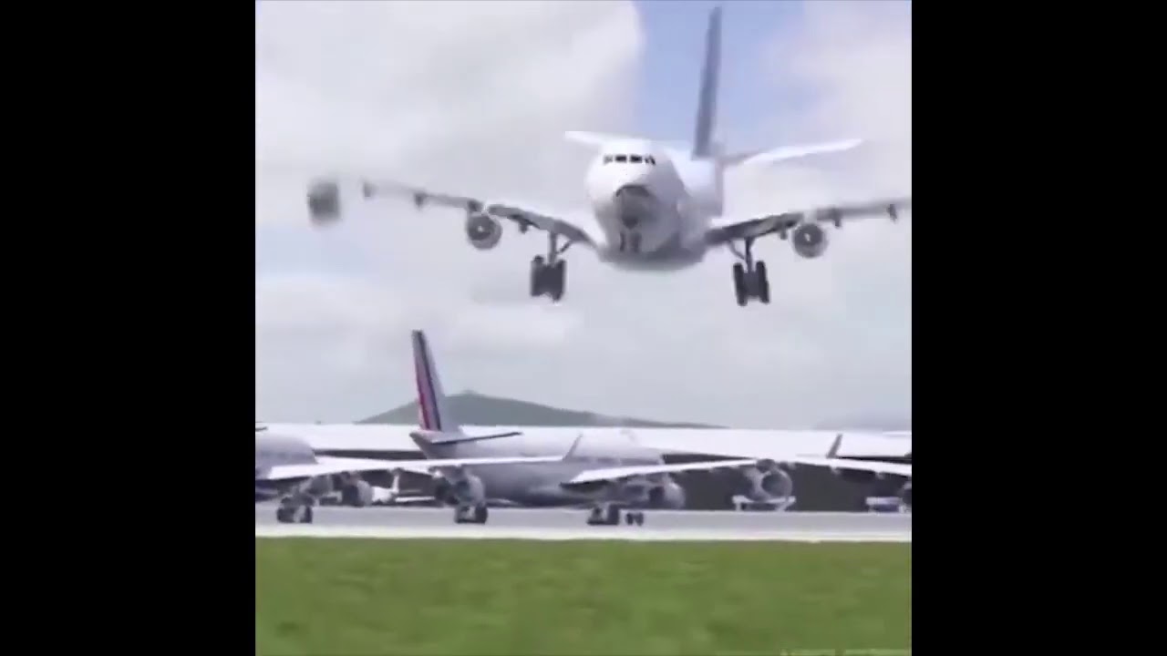 Dancing Plane With Bird Airplane Dance Funny Video Full Hd Youtube