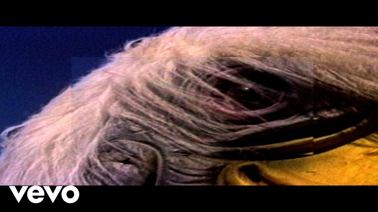 Flow Zoophilia Youtube