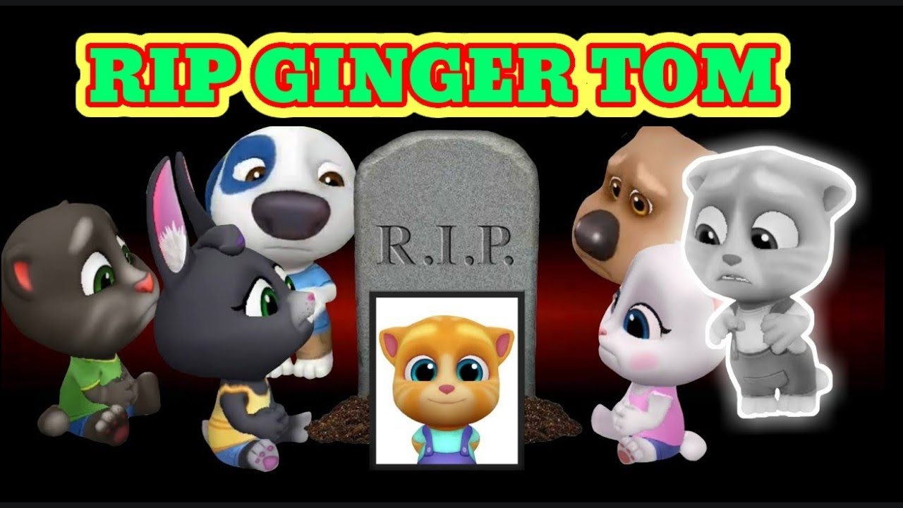 Rip Tom My Talking Tom Friends Kidsvideo Talkingtom