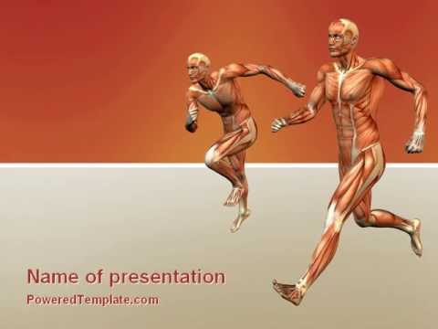 Muscular System Powerpoint Template By Poweredtemplate Youtube