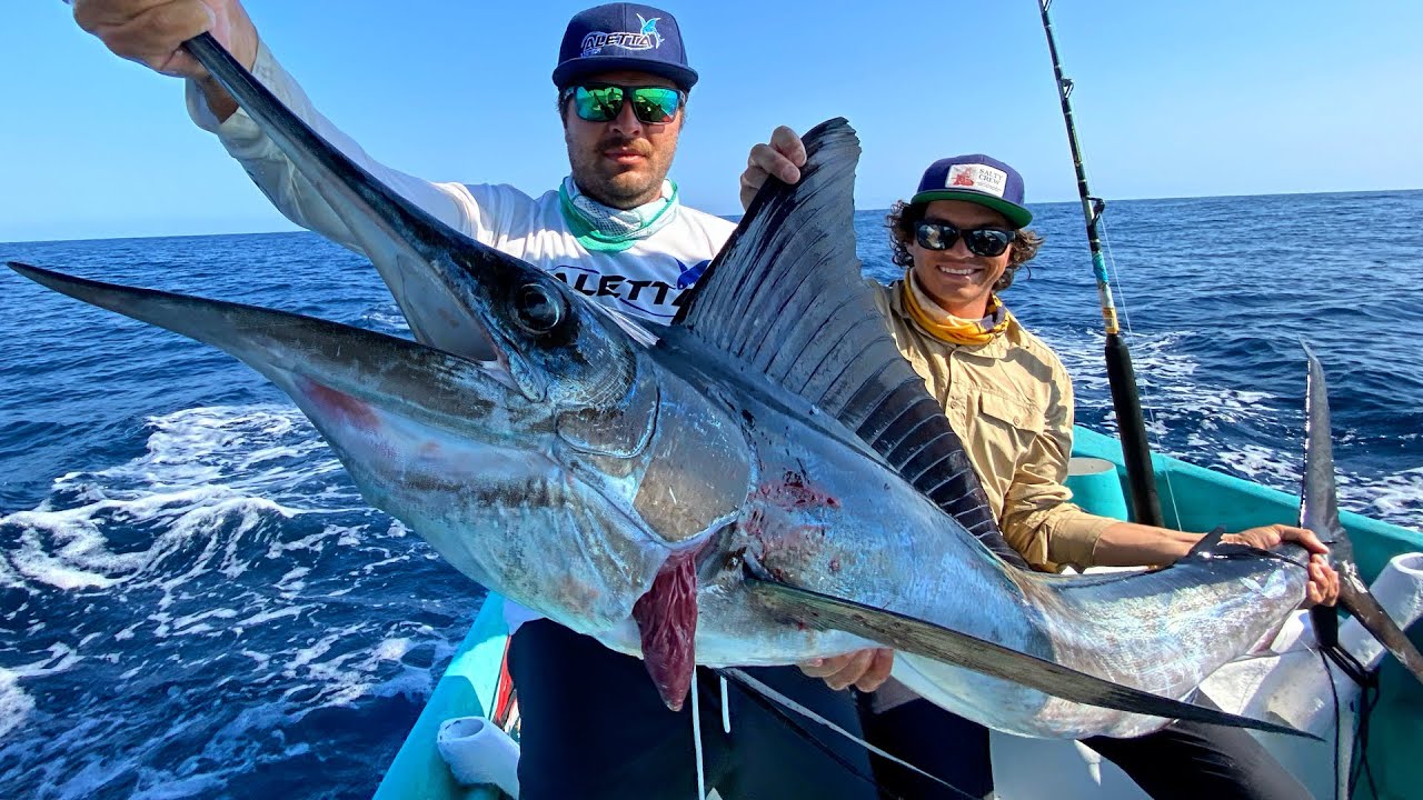 Mi Mejor Pesca En Mar Abierto Marlín Pez Vela Y Dorado Youtube
