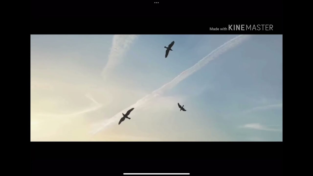 Turbo But Only When The Crows Are On Screen Youtube