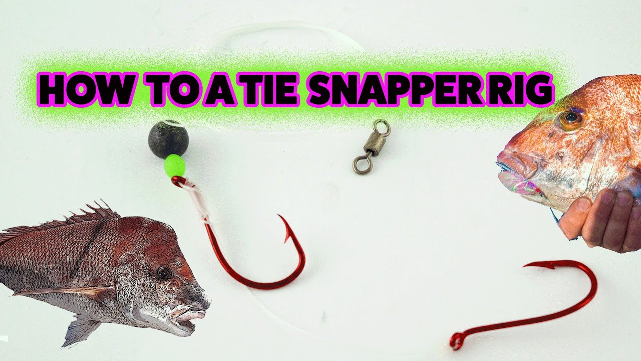 Snapper Rig How To Tie Your Fishing Rigs Snell Hooks Step By Step Youtube