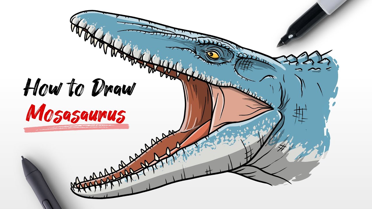 How To Draw A Mosasaurus Mosasaurs 101 National Geographic