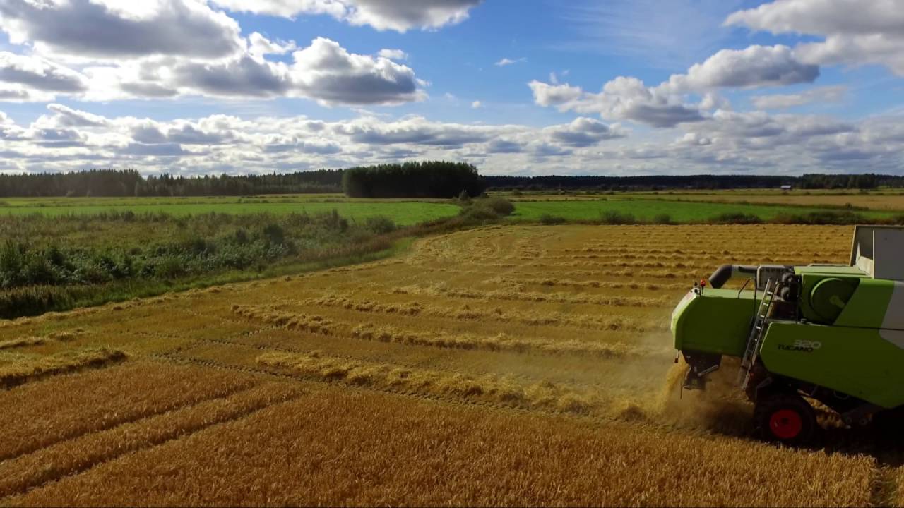 Viljan Puinti Youtube