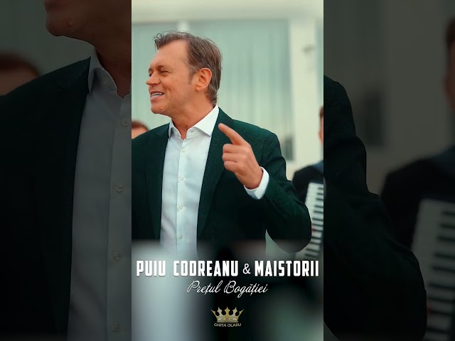 Puiu Codreanu Prețul Bogăției #ghitaolaru #art #live #music