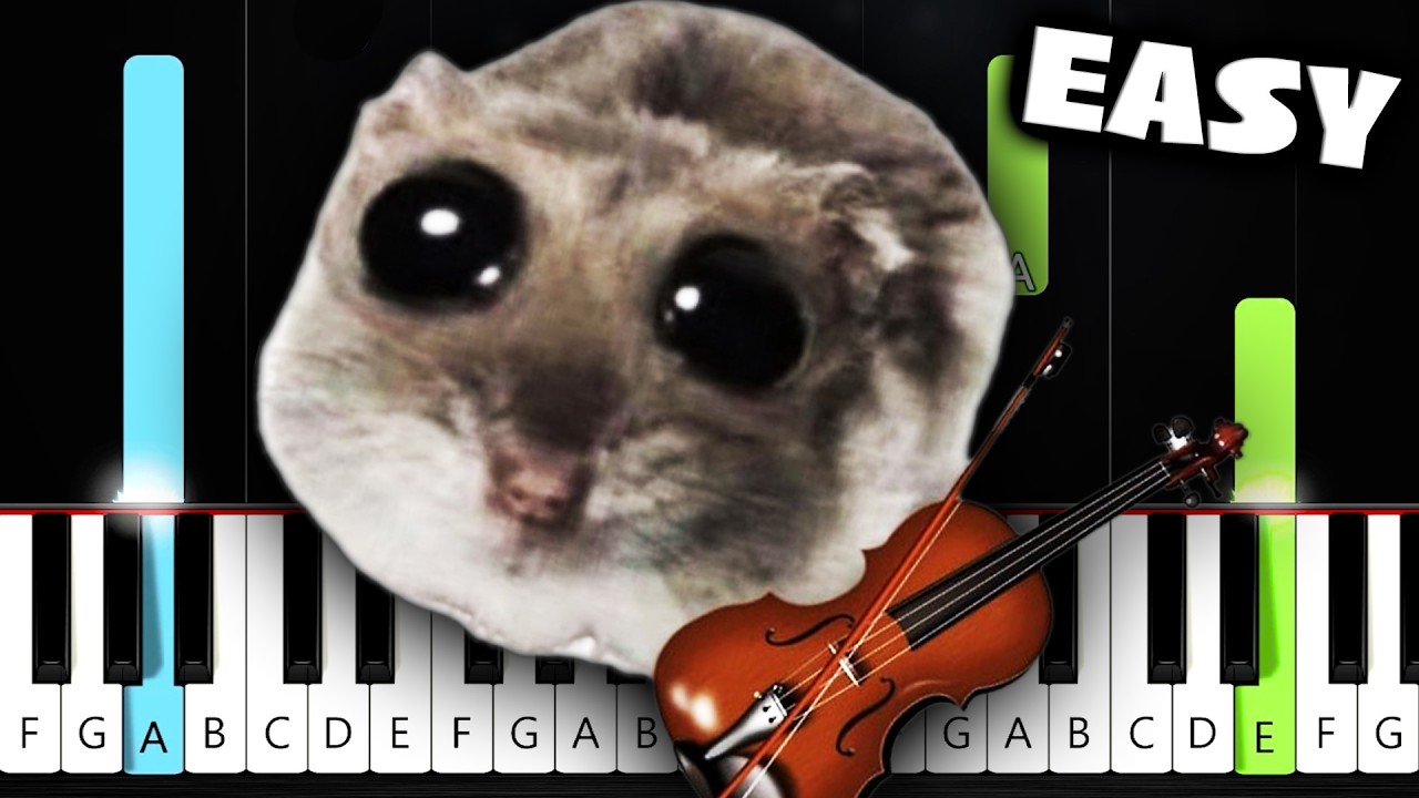 Sad Hamster Violin Meme Silly Puszek Song Lyrics Music Videos