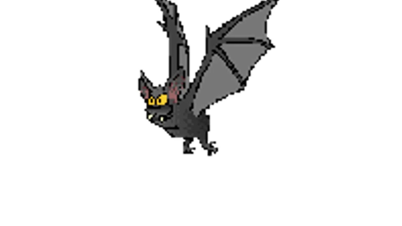 Bat Sounds Youtube