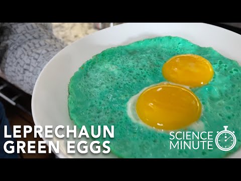 Leprechaun Green Eggs Video Kidibot