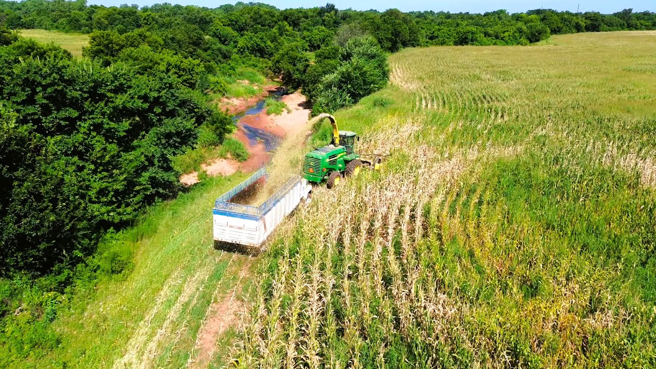 Another Field Bites The Dust Corn Silage 2025 Youtube