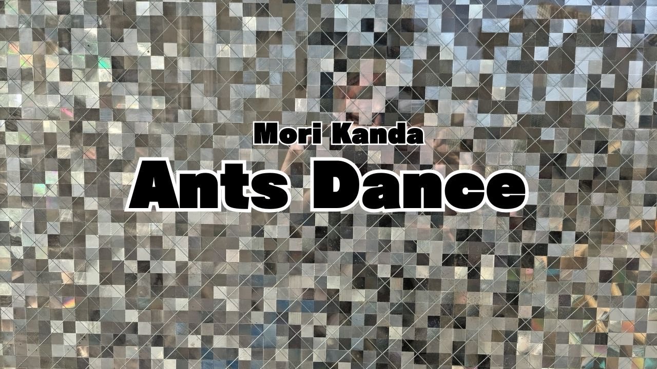 Ants Dance Youtube