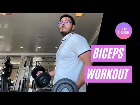 Easy Effective Bicep Workout Dont Skip These Youtube