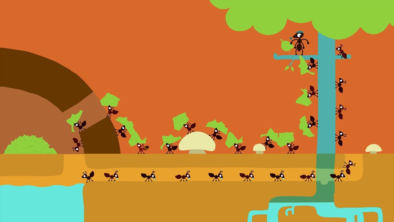 Animanimals Ant Dravens Tales From The Crypt