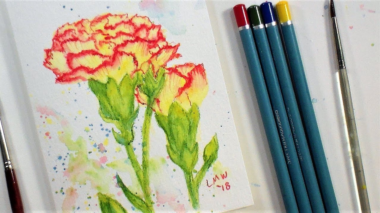 Beginner Colored Pencil Projects Prodrawingclub Pencil Art Drawing