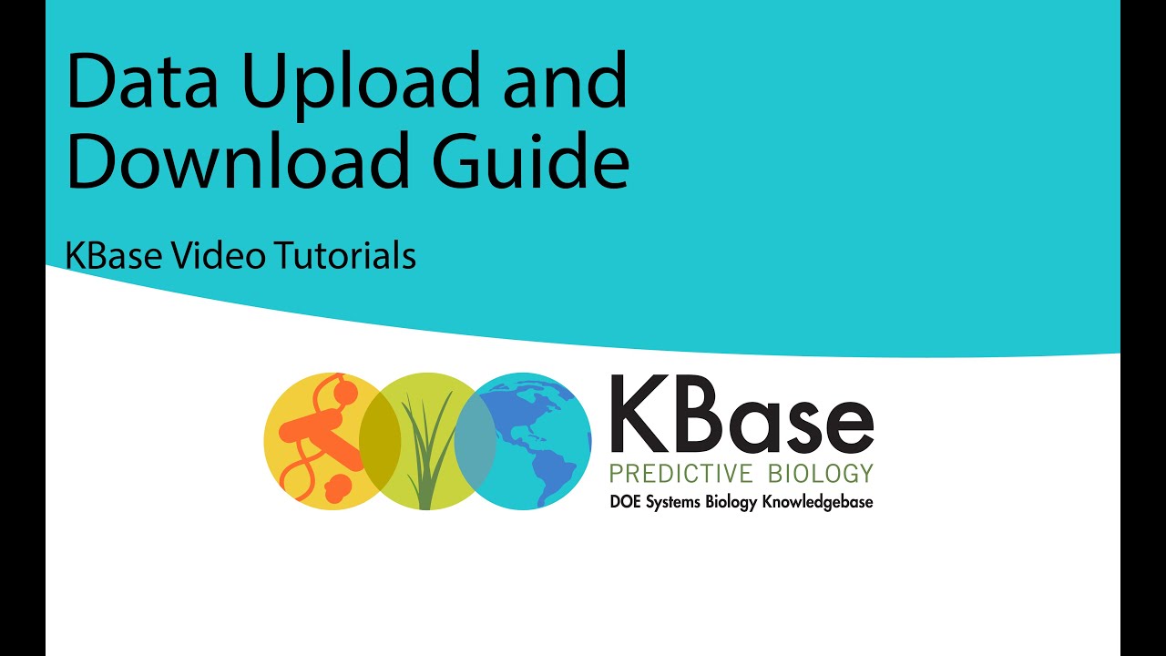 Upload And Download Guide Youtube