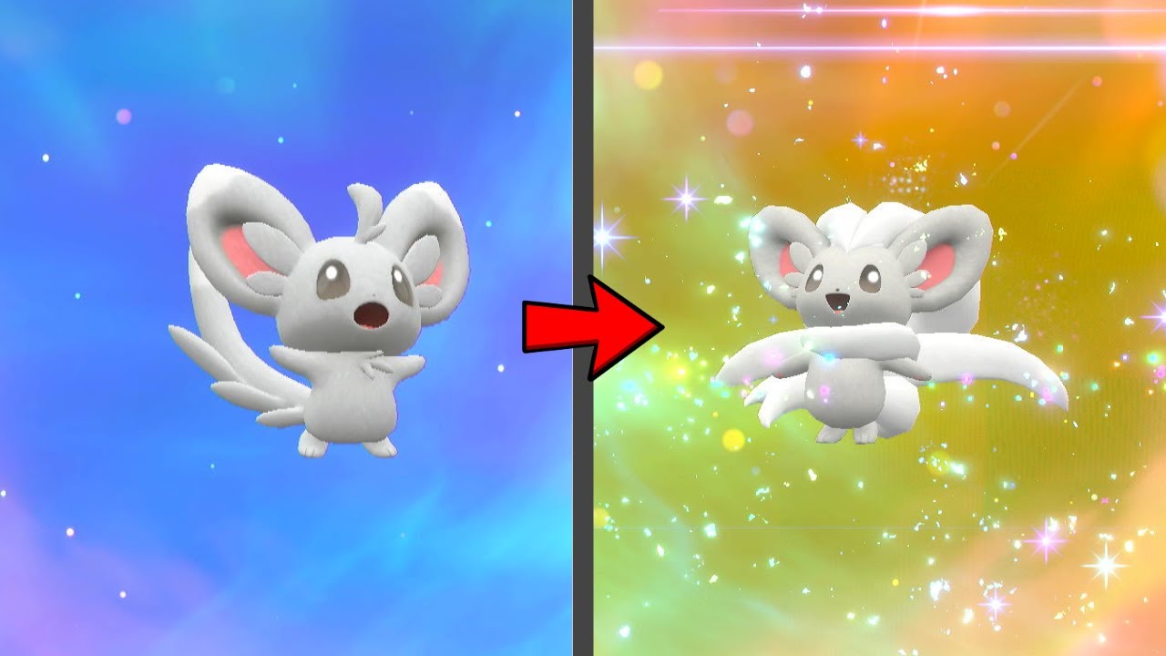 Minccino Evolution Chart Pokémon Image 1445040 Zerochan Anime