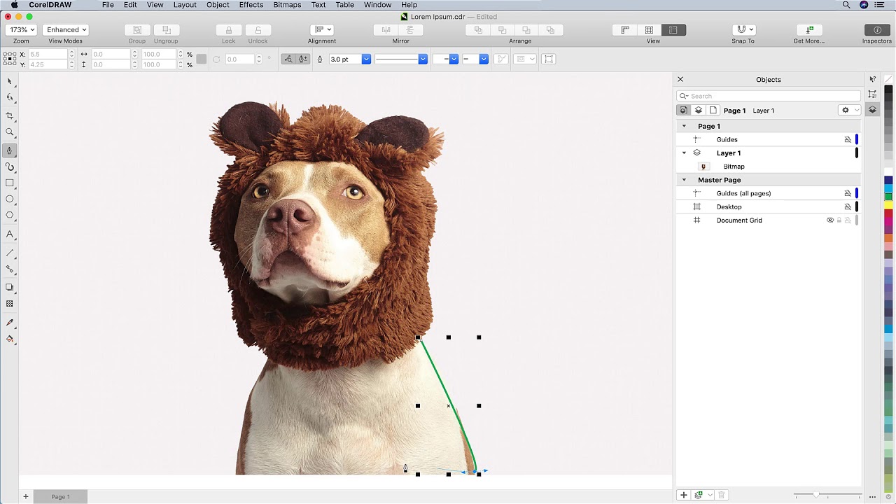 Drawing Curves Youtube