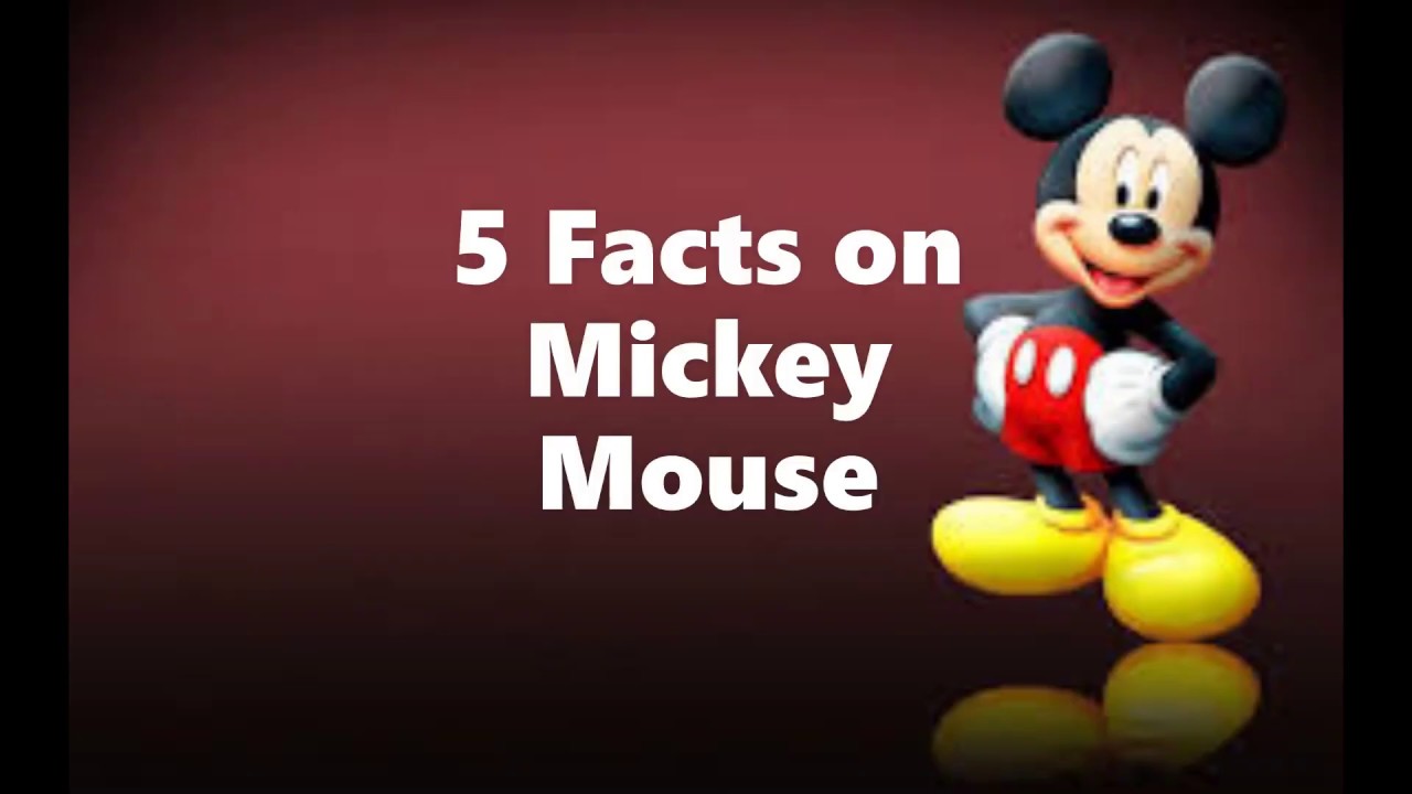 Mickey Mouse Facts At Milla Anstey Blog