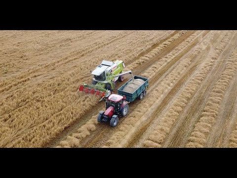 Kauran Puintia Youtube