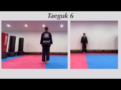 Purple Belt Taeguek 6 Poomsae Form Tutorial Youtube