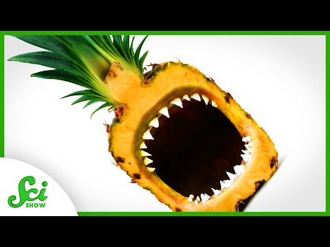 How Do Pineapples Eat Us Back Ejoy English
