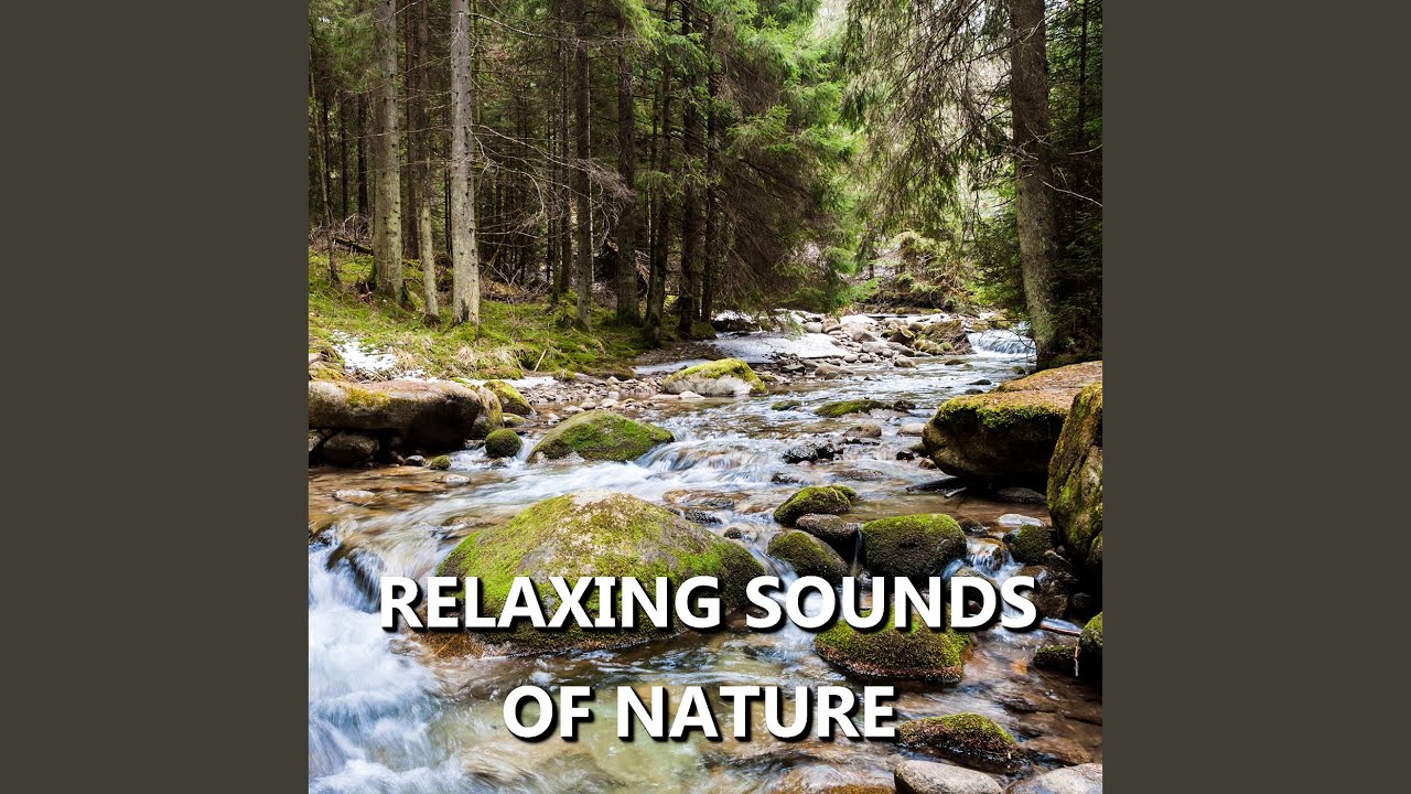 Idyllic Outdoor Nature Sounds Youtube Music
